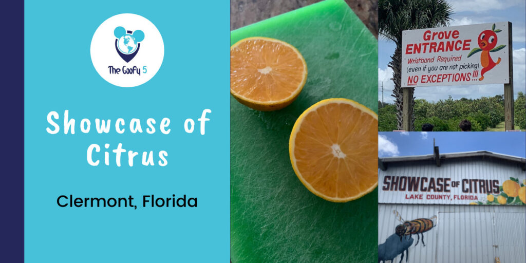 Showcase Of Citrus Clermont Florida - The Goofy 5